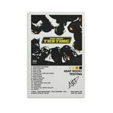 ASAP Rocky Testing Music Album Cover Canvas Poster Bedroom Decor ...