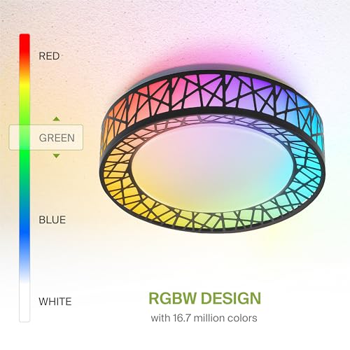 ASD 12 Inch Smart RGBW Flush Mount Ceiling Light with Remote - Matte ...
