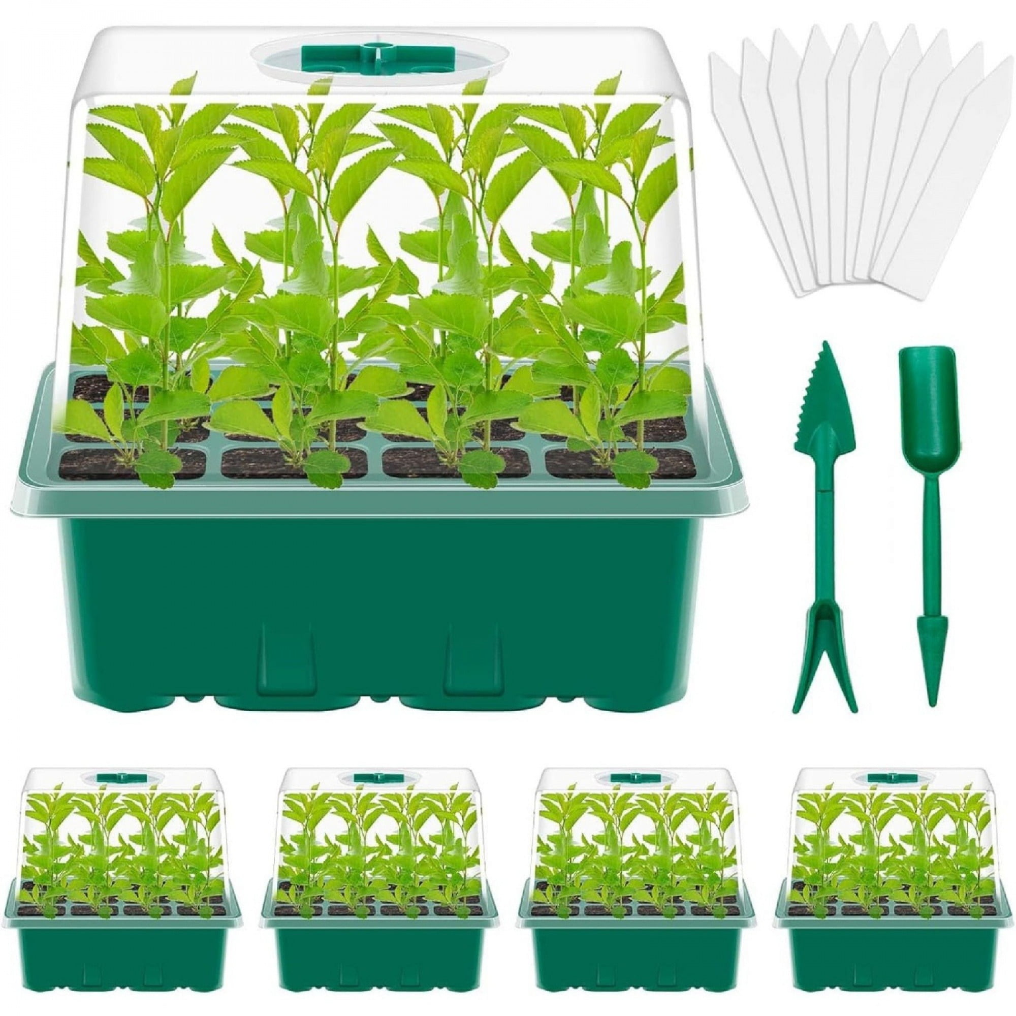 ASDIIT 5pcs 60 Cells Seed Starter Tray with Grow Light Indoor Seeds ...