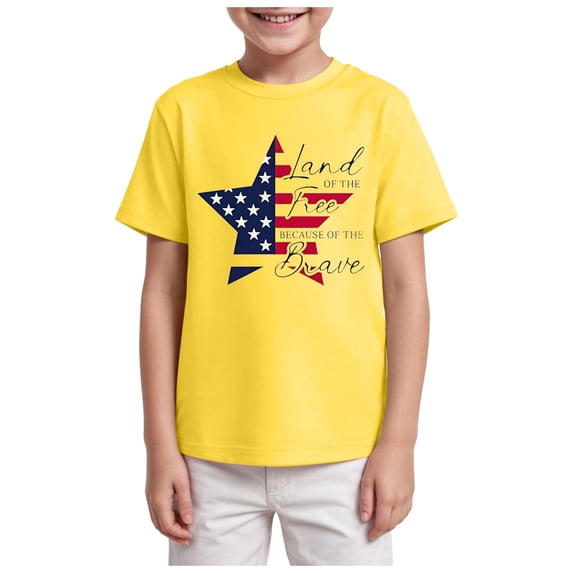 ASEIDFNSA Boys Short Sleeve Tee with Dinosaur Graphic and Crew Neck for ...