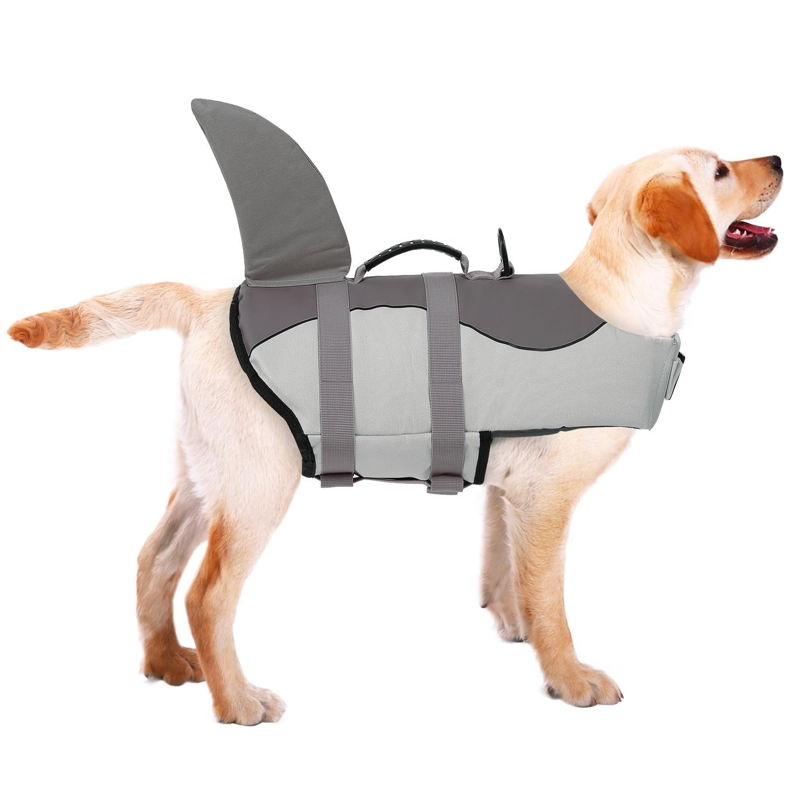 ASENKU Dog Life Jacket - Pet Safety Vest for Swimming & Boating, Shark ...