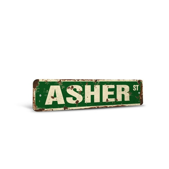 ASHER Vintage Style Rustic Street Sign – Childrens Name Room Sign Retro ...