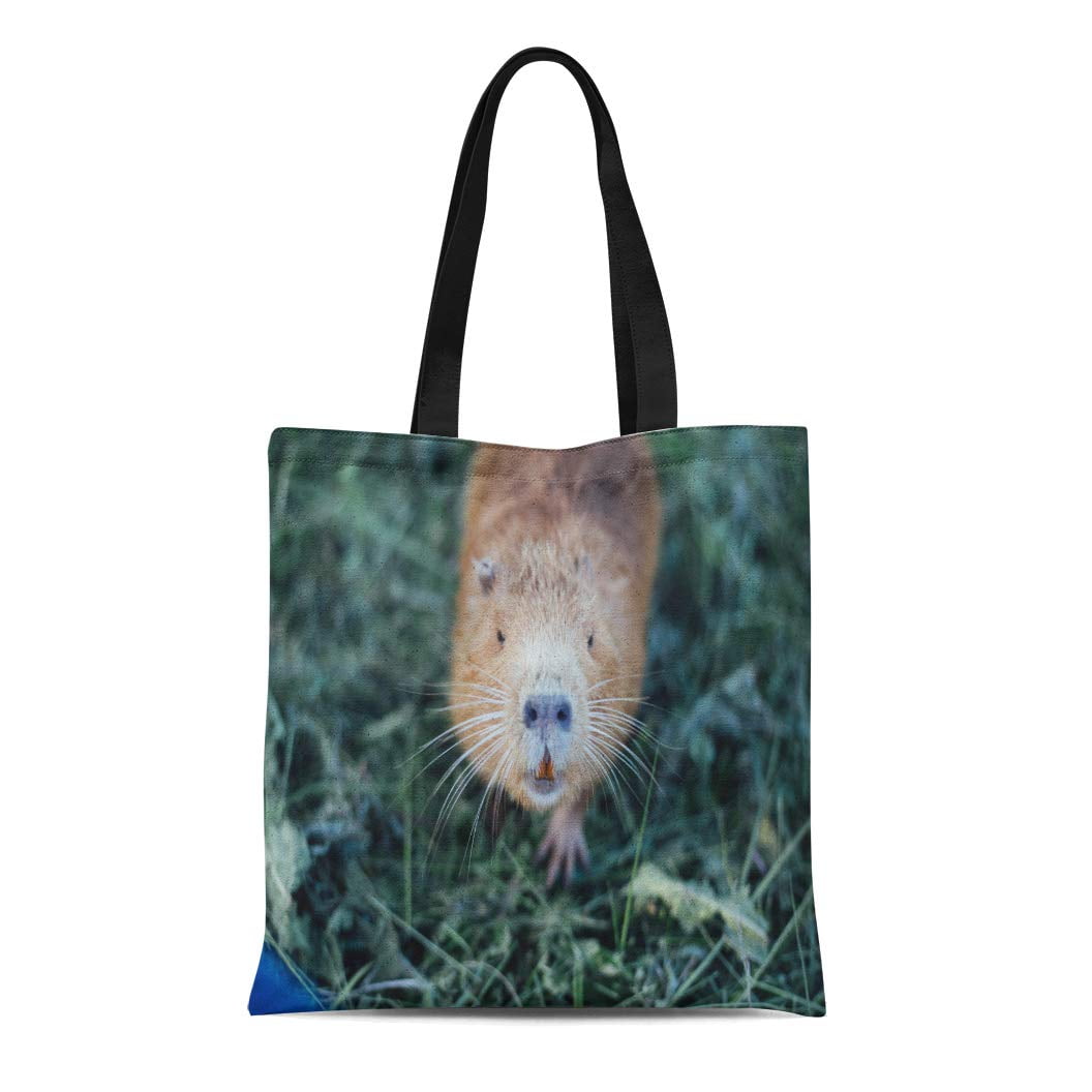 ASHLEIGH Canvas Bag Resuable Tote Grocery Shopping Bags Brown Portrait ...