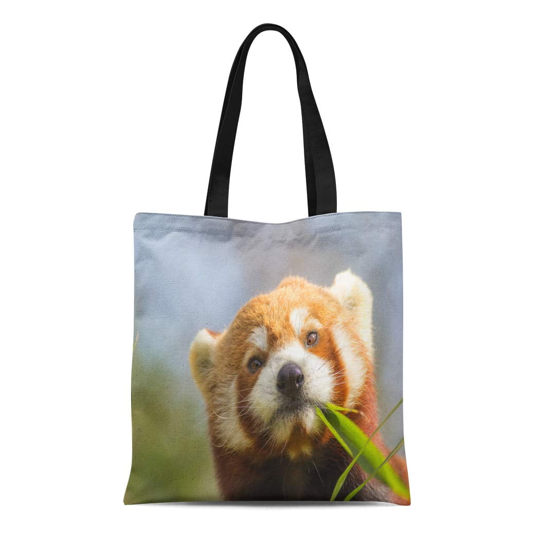 ASHLEIGH Canvas Bag Resuable Tote Grocery Shopping Bags Cross Eyed Cute ...