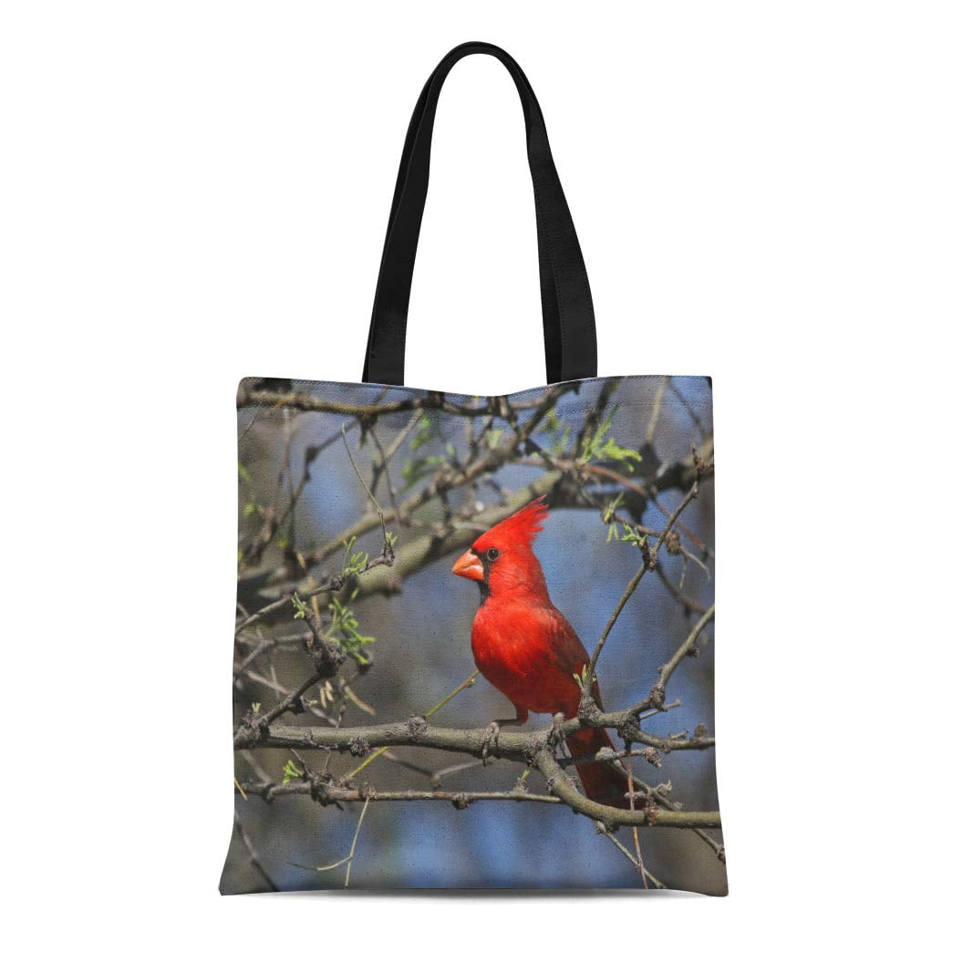 ASHLEIGH Canvas Bag Resuable Tote Grocery Shopping Bags Northern ...