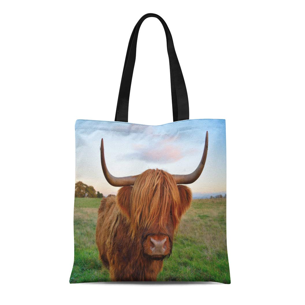 ASHLEIGH Canvas Tote Bag Brown Scottish Highland Cattle Red Agriculture ...