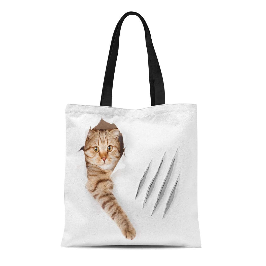 ASHLEIGH Canvas Tote Bag Brown Scratch Funny Cat in Hole Claw Scratches ...