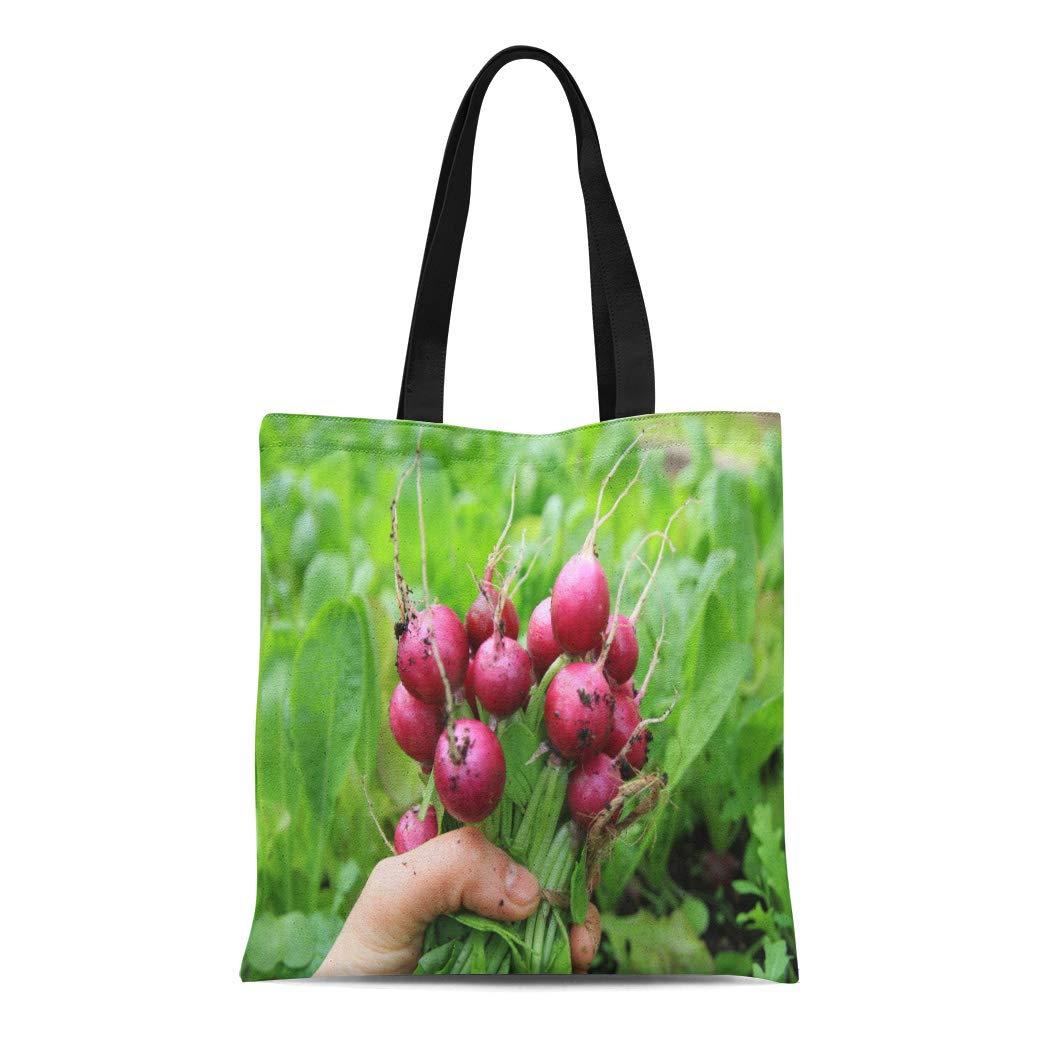 ASHLEIGH Canvas Tote Bag Garden Freshly Harvested Radish in Hand ...
