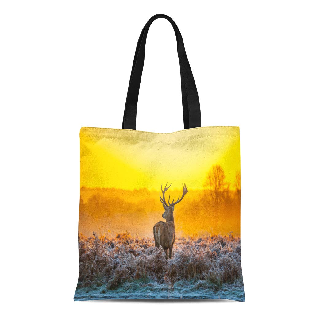ASHLEIGH Canvas Tote Bag Orange Hunting Red Deer in Morning Sun Purple ...