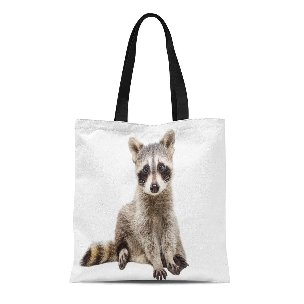 ASHLEIGH Canvas Tote Bag Racoon Funny Raccoon Sitting Baby Cute Wild ...
