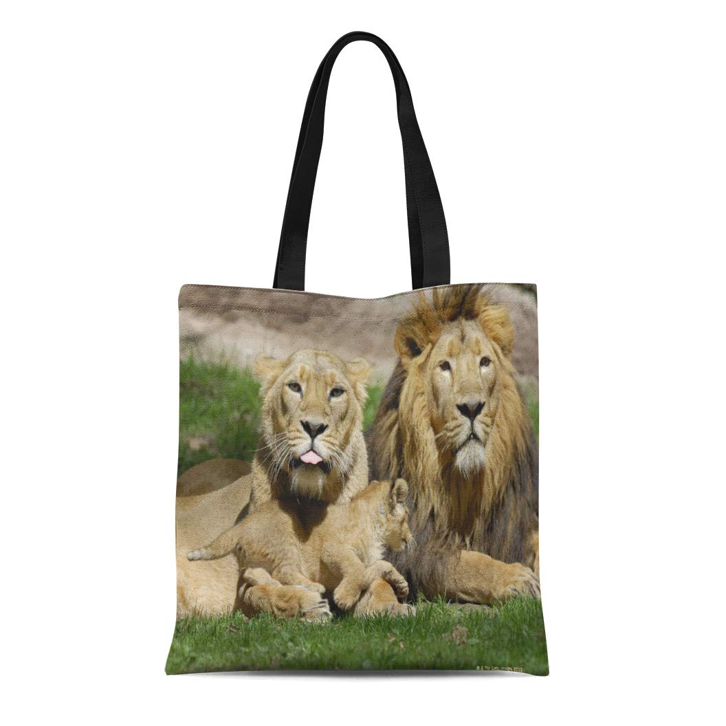 ASHLEIGH Canvas Tote Bag Three Portrait of Lion Activity Majestic ...