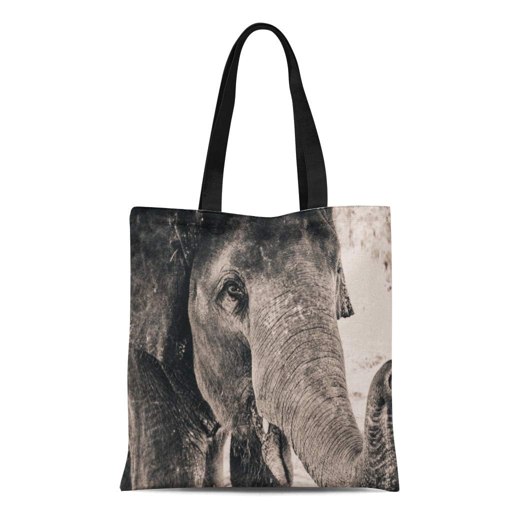 ASHLEIGH Canvas Tote Bag Vintage Elephant Monogram Modern Photos Retro ...