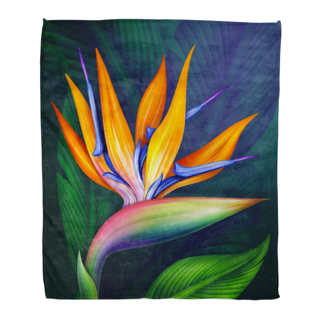 ASHLEIGH Throw Blanket 58x80 Inches Colorful Hawaiian Strelitzia Bird ...