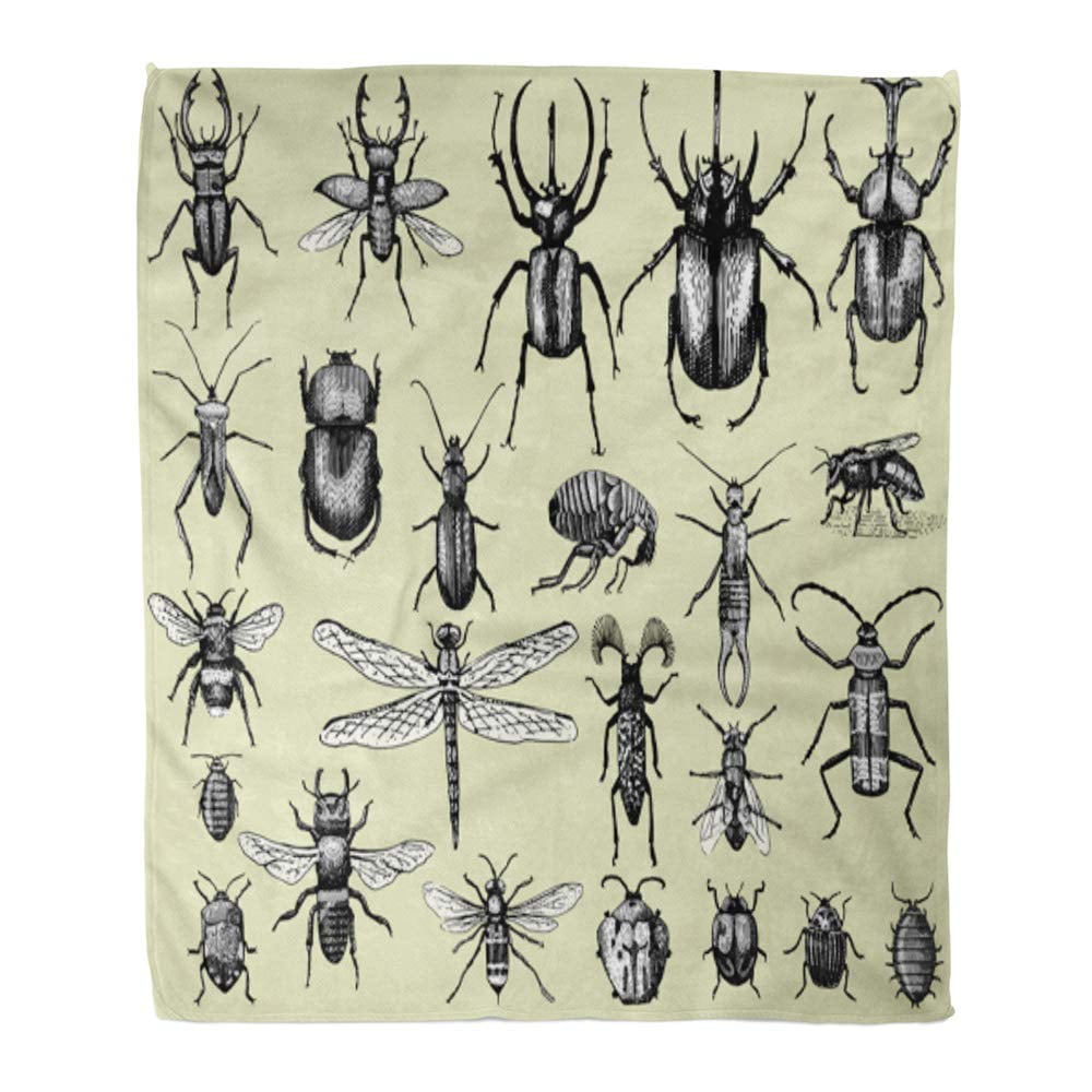 ASHLEIGH Throw Blanket Warm Cozy Print Flannel Big of Insects Bugs ...