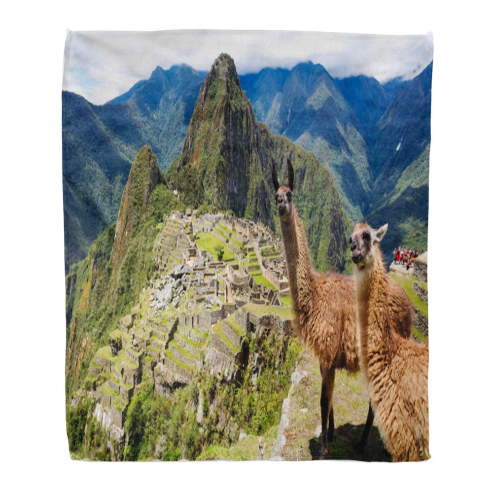 ASHLEIGH Throw Blanket Warm Cozy Print Flannel Blue Macchu Llama at ...