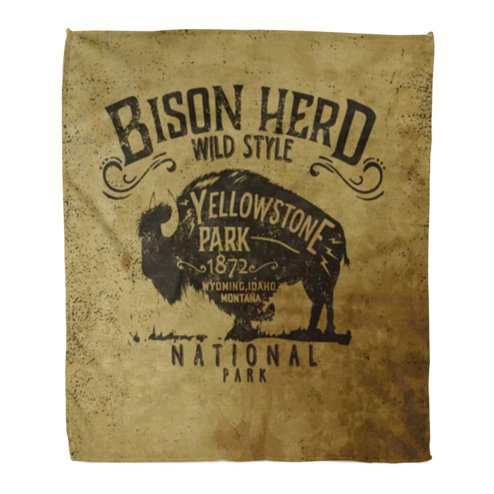 ASHLEIGH Throw Blanket Warm Cozy Print Flannel Buffalo Vintage Western ...