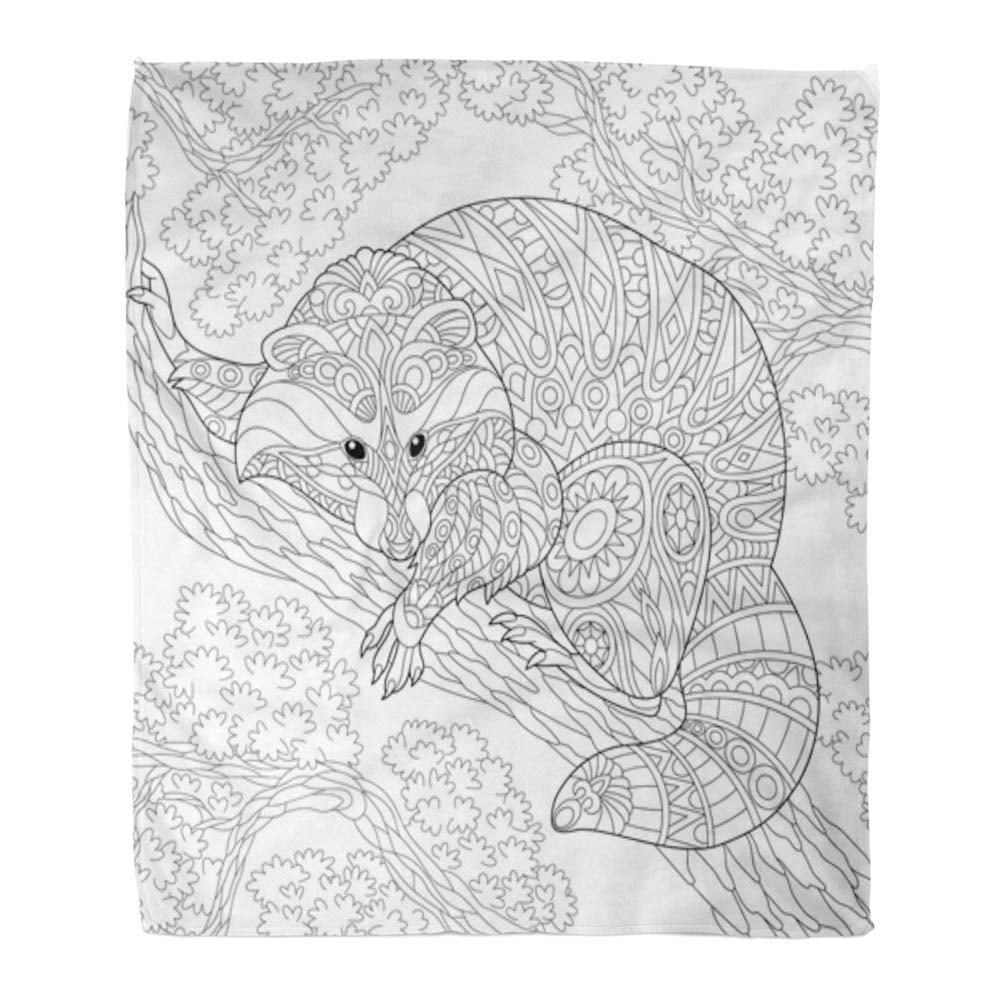 ASHLEIGH Throw Blanket Warm Cozy Print Flannel Coloring Page of Raccoon ...