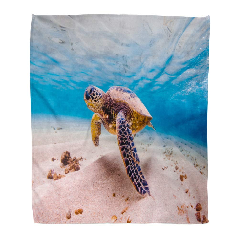 ASHLEIGH Throw Blanket Warm Cozy Print Flannel Endangered Hawaiian ...