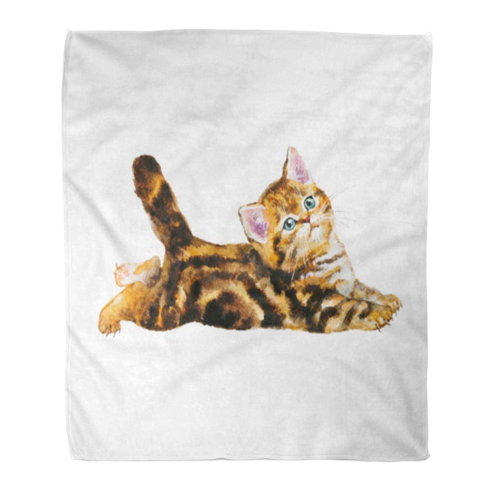 ASHLEIGH Throw Blanket Warm Cozy Print Flannel Fluffy Scottish Fold ...