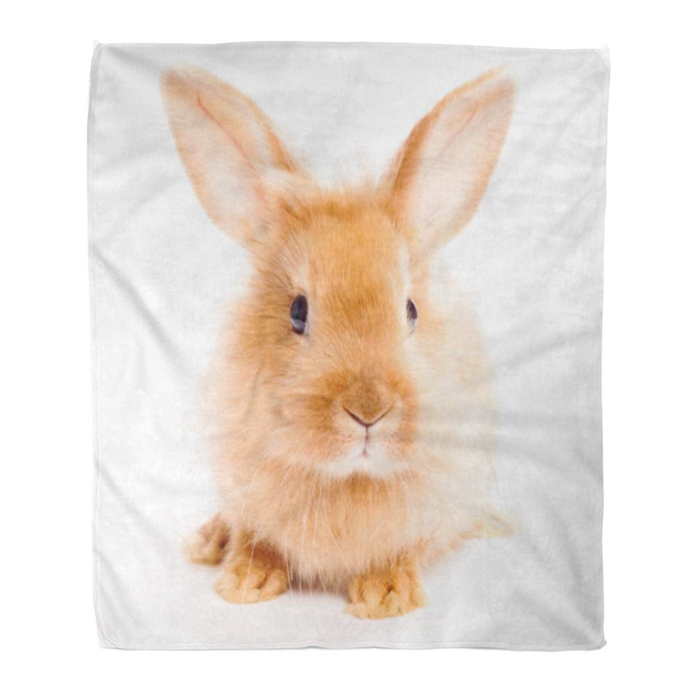 ASHLEIGH Throw Blanket Warm Cozy Print Flannel Gray Bunny Rabbit Cute ...
