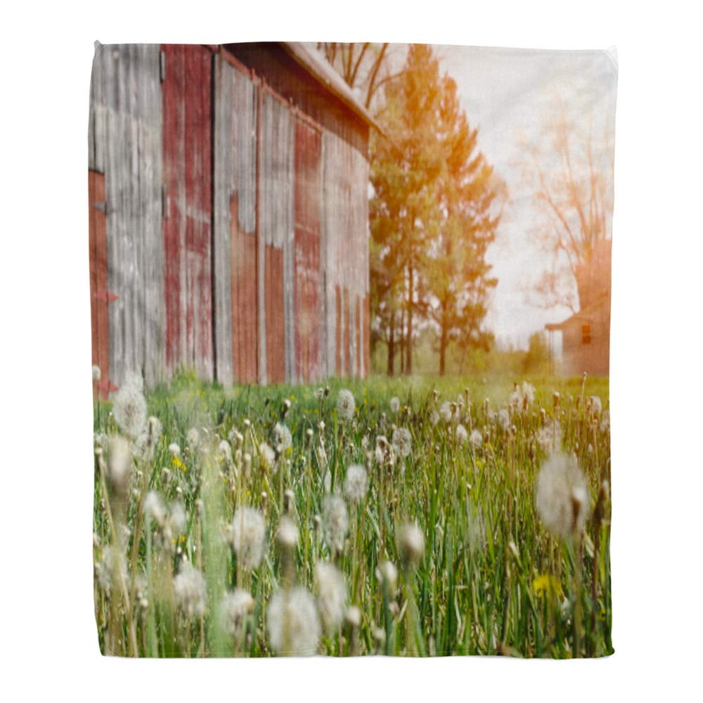 ASHLEIGH Throw Blanket Warm Cozy Print Flannel Historic Old Farmhouse ...