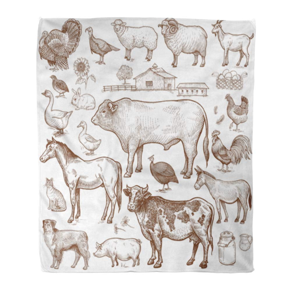 ASHLEIGH Throw Blanket Warm Cozy Print Flannel Large Farm Cattle ...