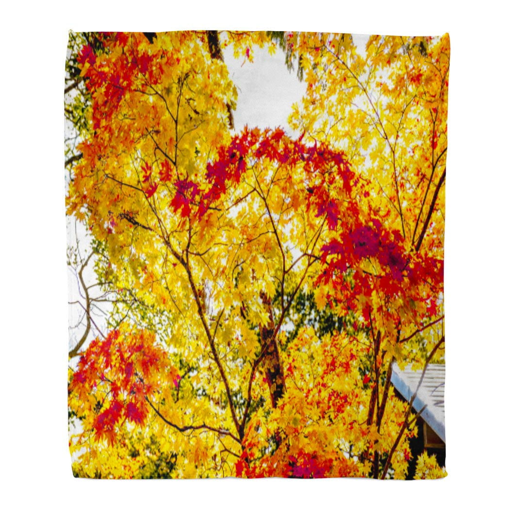 ASHLEIGH Throw Blanket Warm Cozy Print Flannel Maple Autumn Tint Tree ...