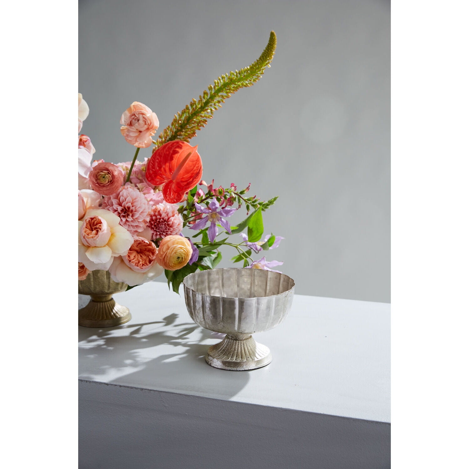 ASHLUXE Luxe Champaigne Compote - Walmart.com