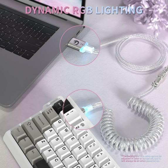 ASIASN-C01 Ultra RGB Coiled Keyboard Cable,Pro Custom USB-C Aviator ...