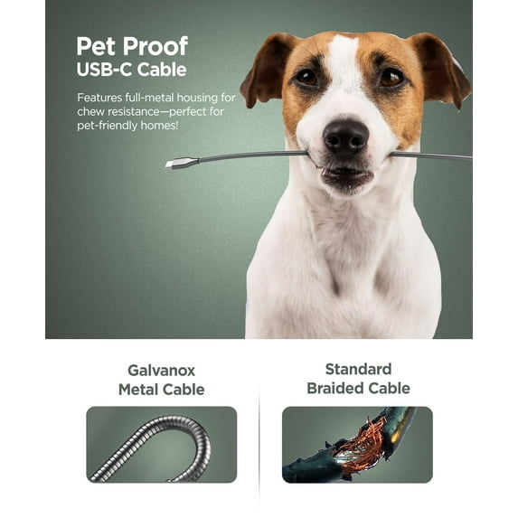 ASIASN-Pet Proof USB-C to USB-C Charger Cable - 6 Foot Braided Metal ...