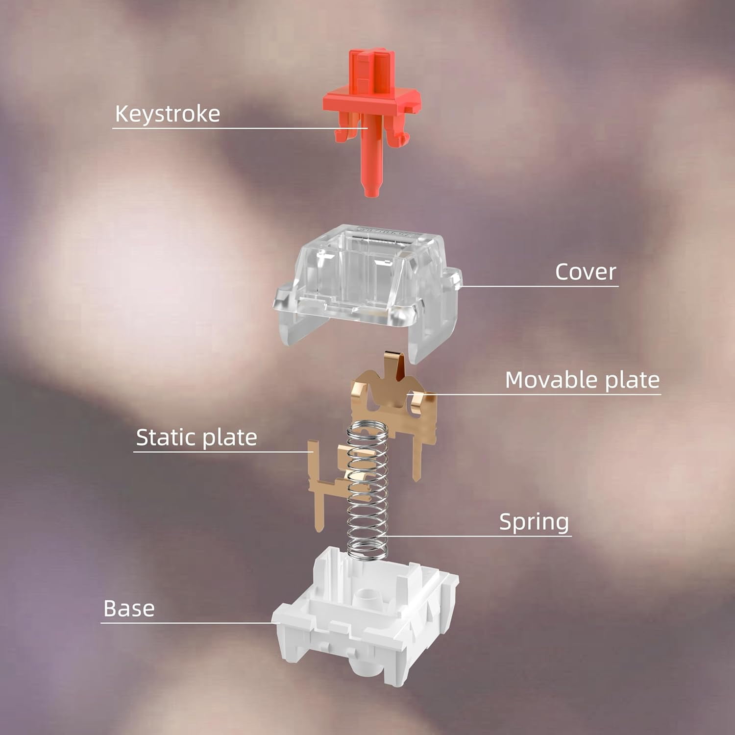 ASIASN-ZhouWang Red Switch 3 Pin 50gf Pre-Lubricated,Dustproof Linear ...