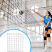 EastPoint Sports Volleyball Replacement Net for Outdoor Play, 32 ft. (L ...