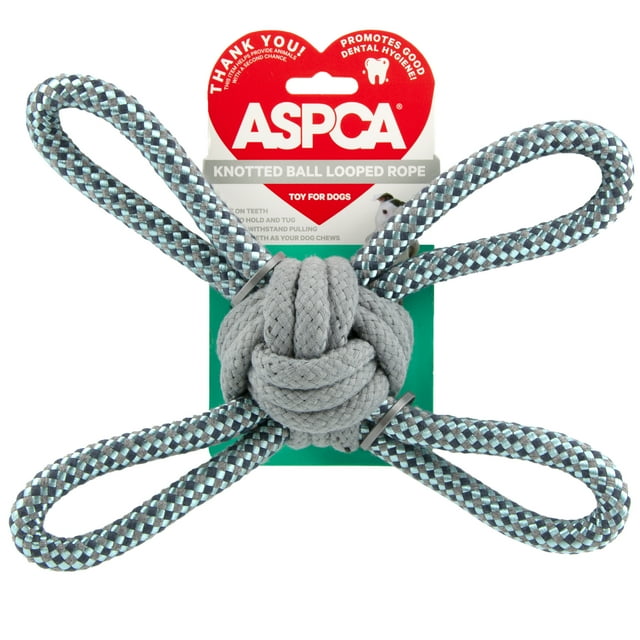 ASPCA Knotted Ball Looped Rope Dog Toy in Aqua - Walmart.com