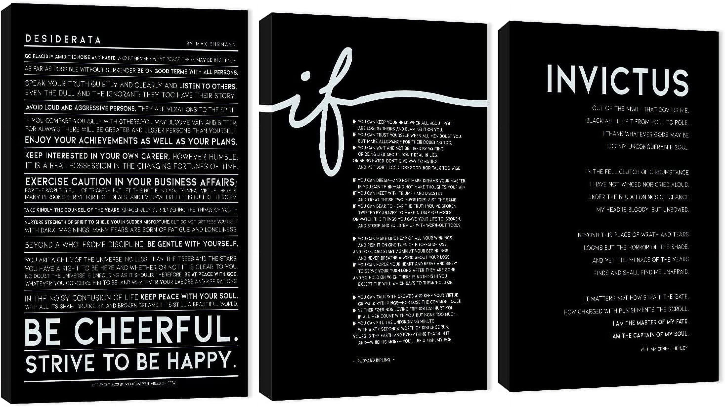 ASPORIC 3 Piece Inspirational Wall Art, Black Background Sayings ...