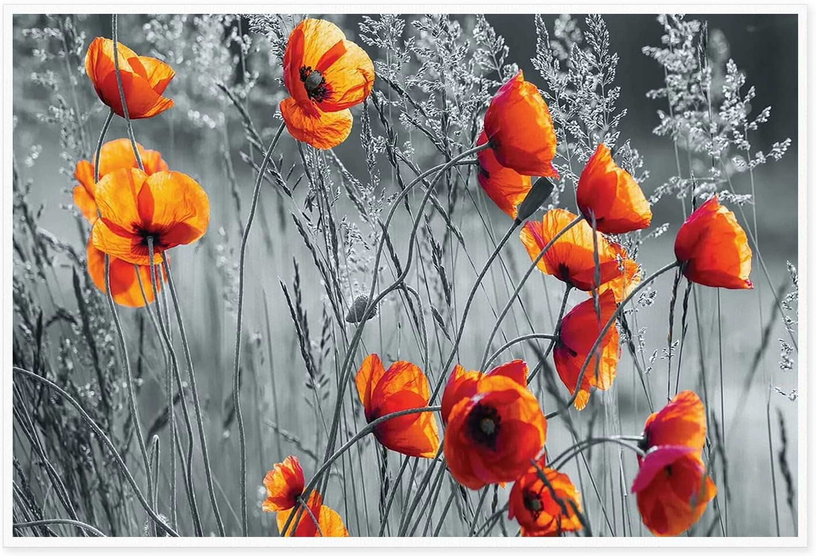 ASPORIC Abstract Red Poppies Canvas Painting Modern Abstract Wall Art ...