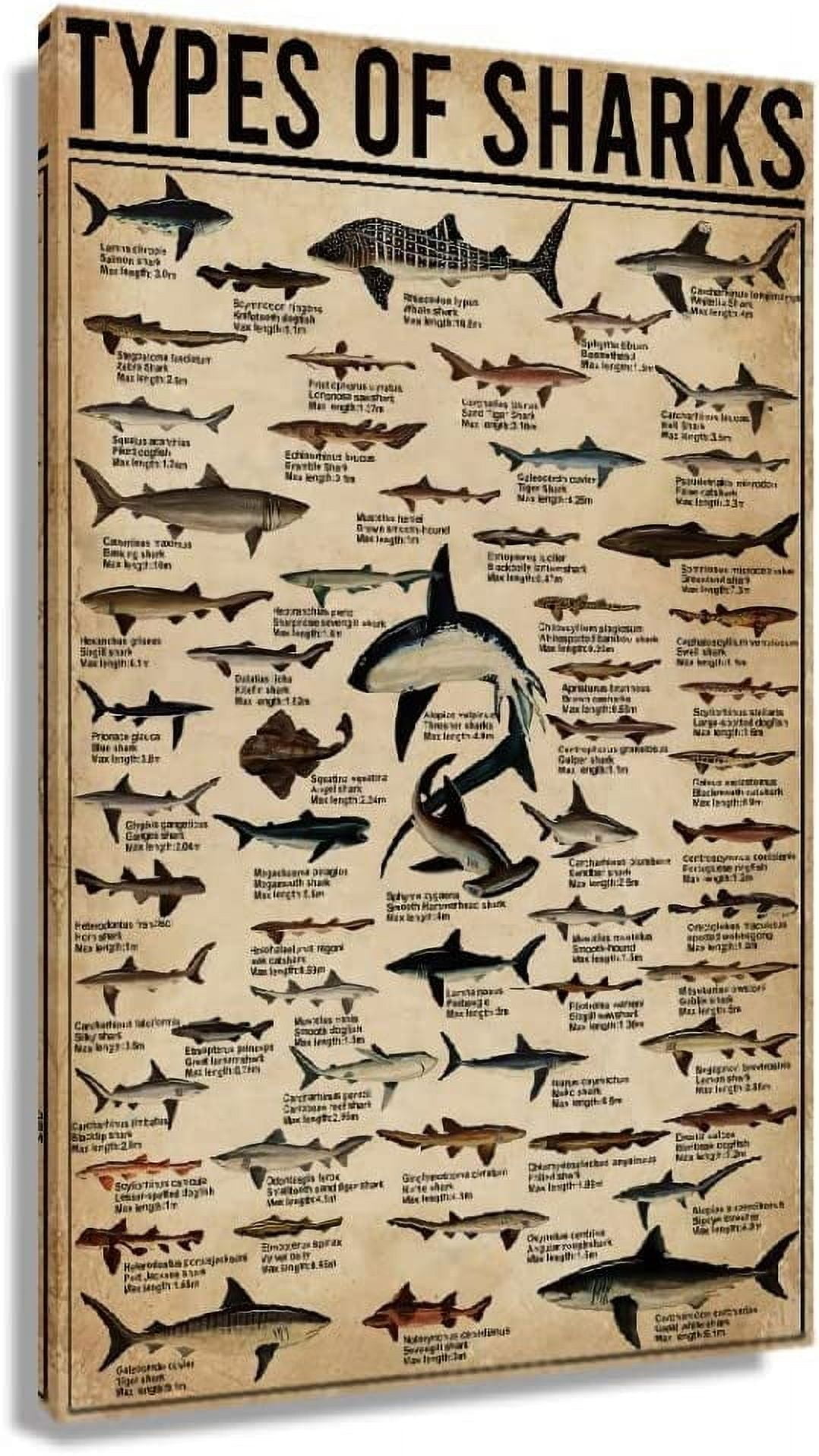ASPORIC Animal Tracks Poster Framed Wall Decor Vintage Educational Wall ...