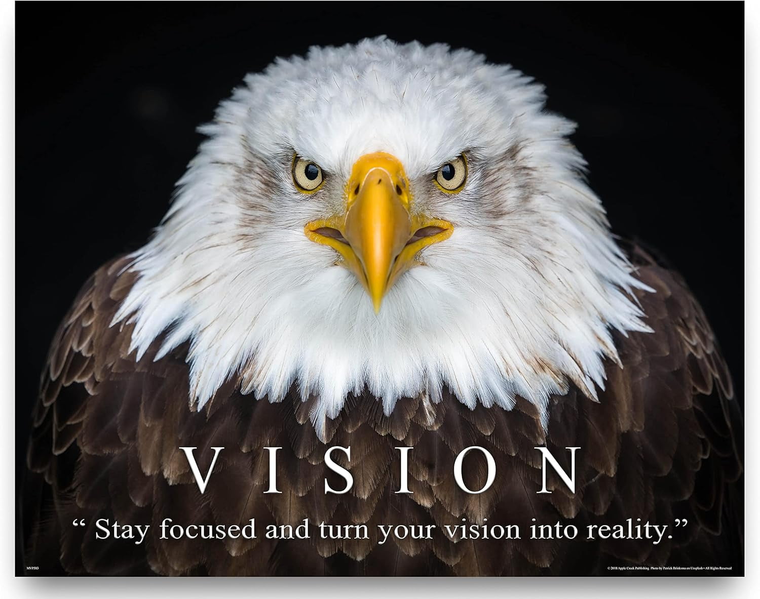 ASPORIC Bald Eagle Wildlife Motivational Poster Art Print 11x14 Vision ...
