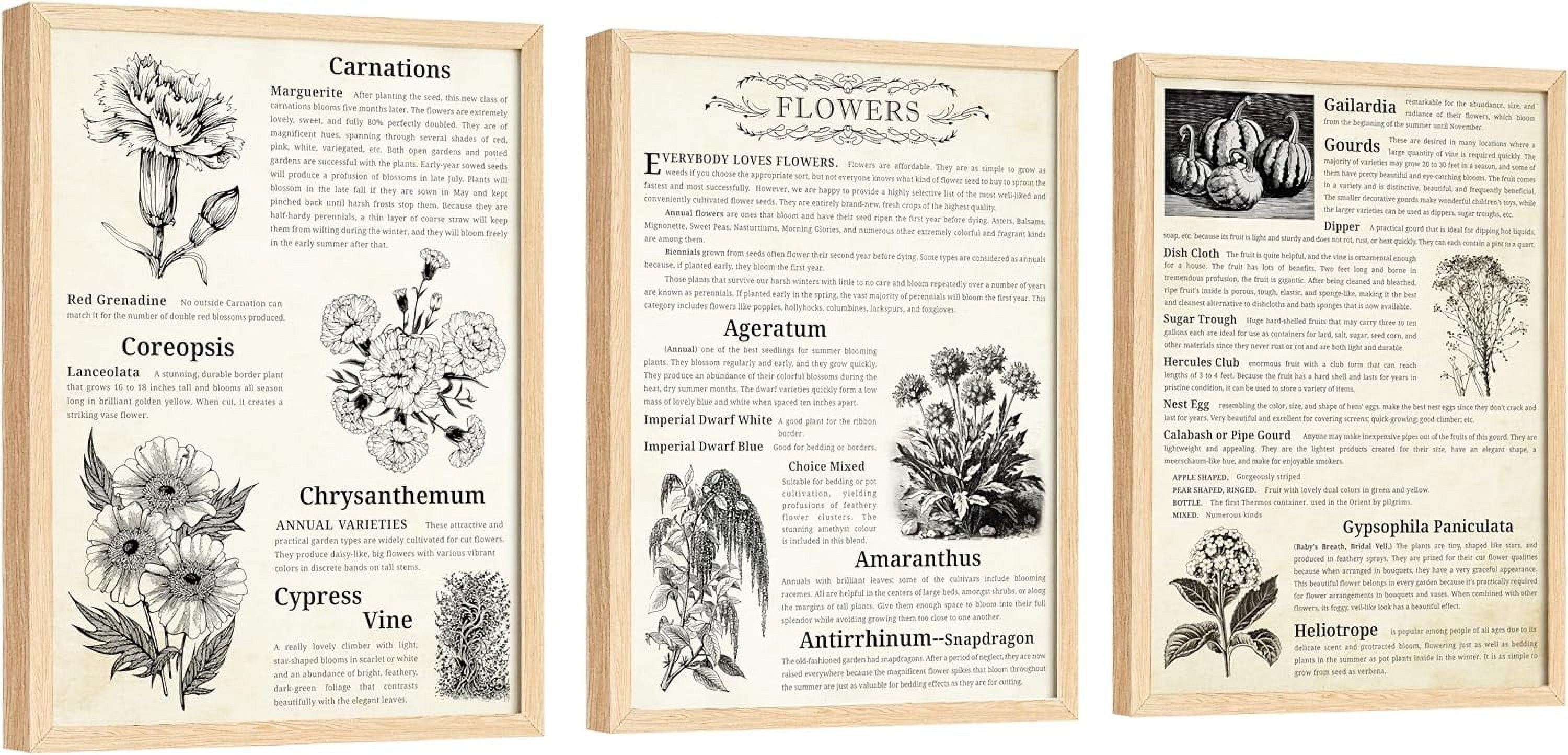 ASPORIC Black and White Flower Wall Art - 12x16 Vintage Botanical Prints, Dark Cottagecore ...