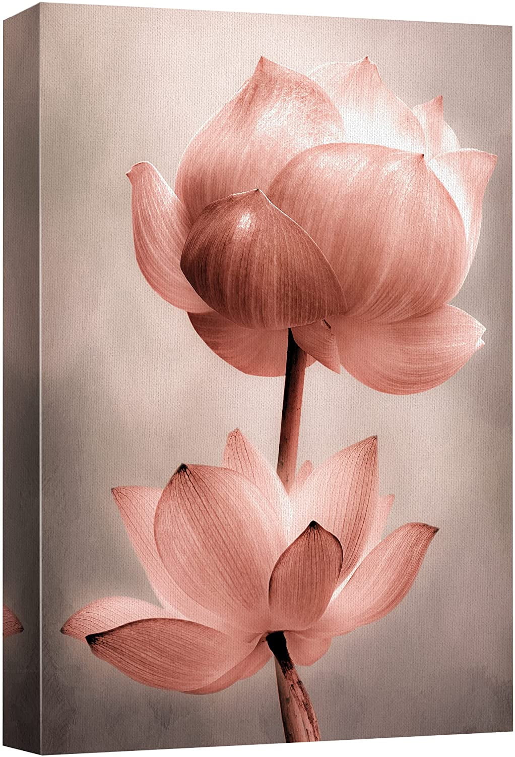 ASPORIC Canvas Print Wall Art Hummingbird Flies On White Carnation ...