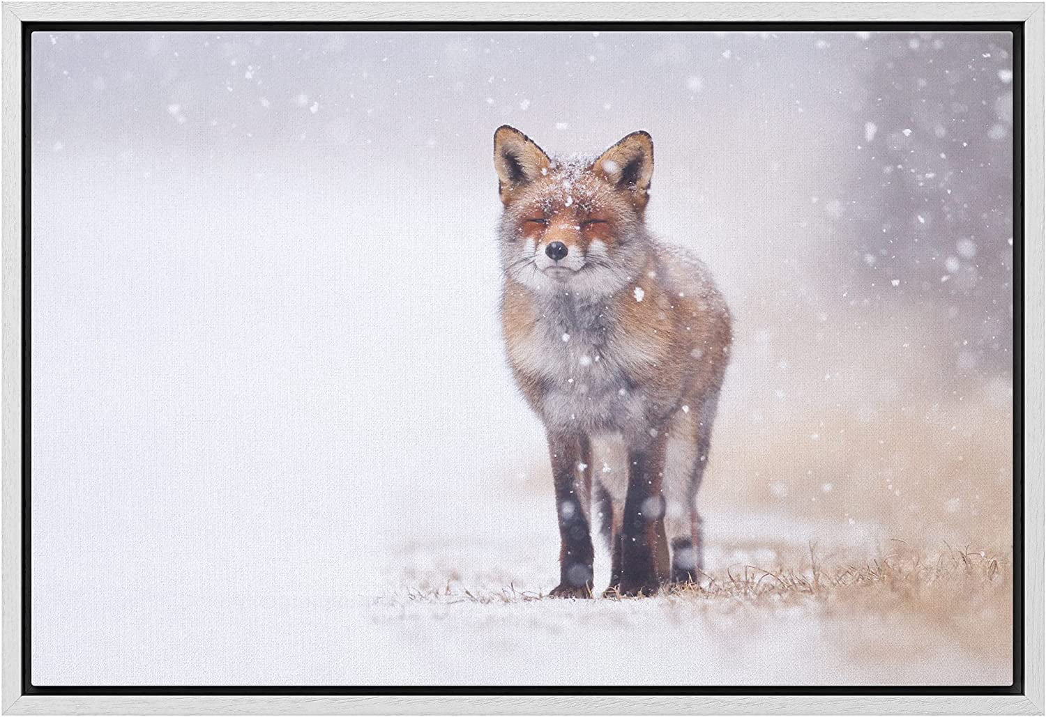 ASPORIC Canvas Print Wall Art Hummingbird Flies On White Carnation ...