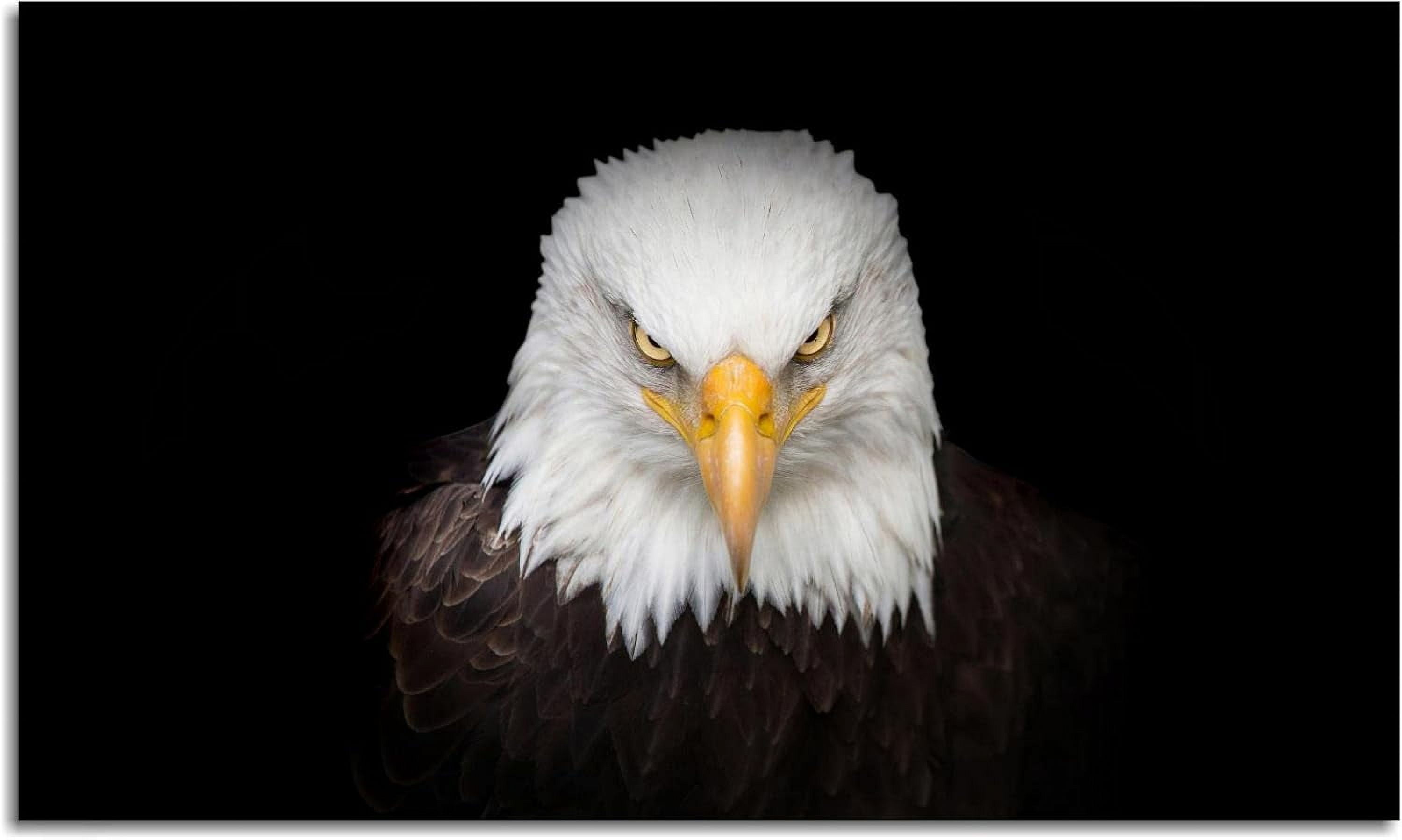 ASPORIC Canvas Wall Art for Living Room Bald Eagle Pictures Posters ...