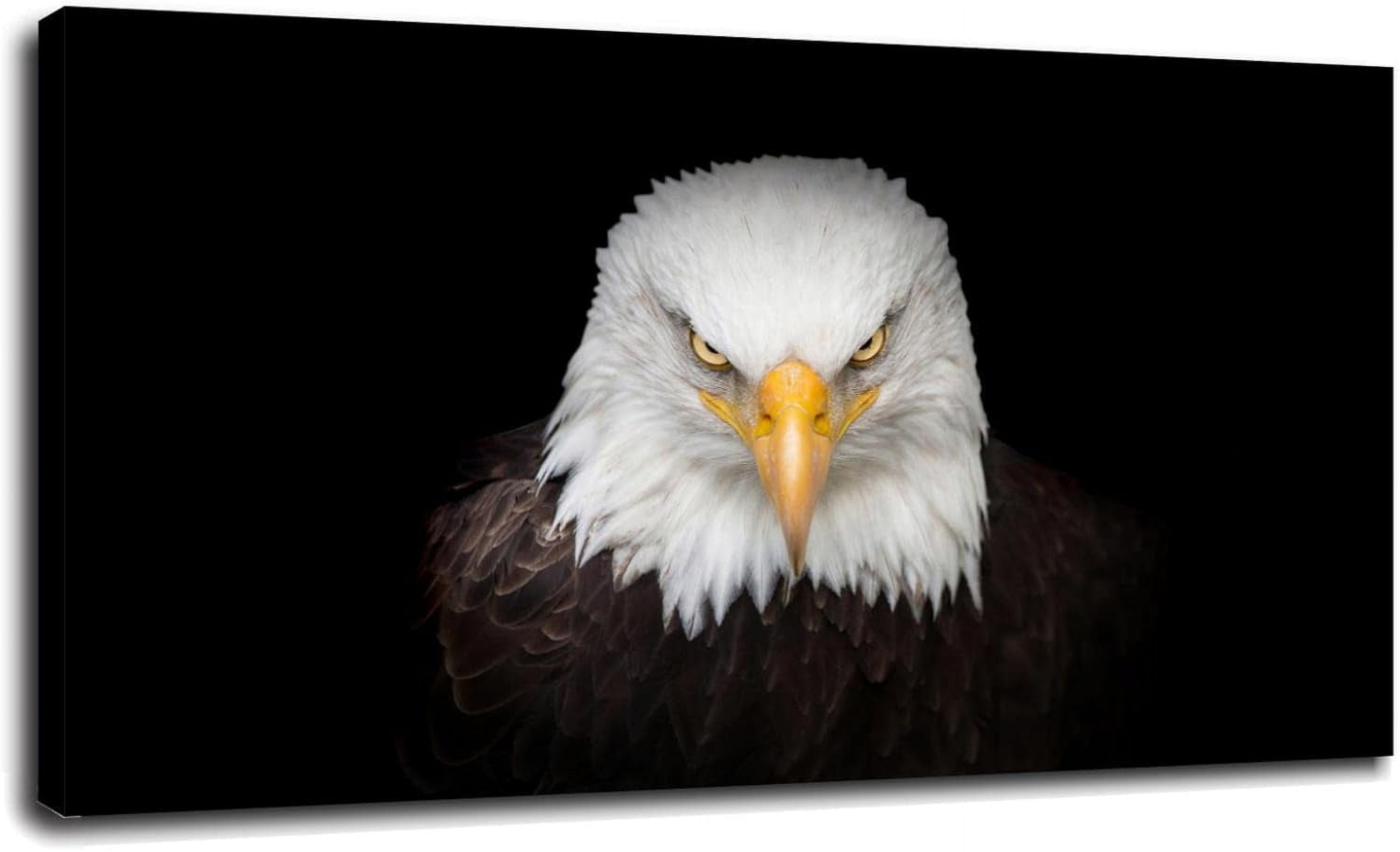 ASPORIC Canvas Wall Art for Living Room Bald Eagle Pictures Posters ...