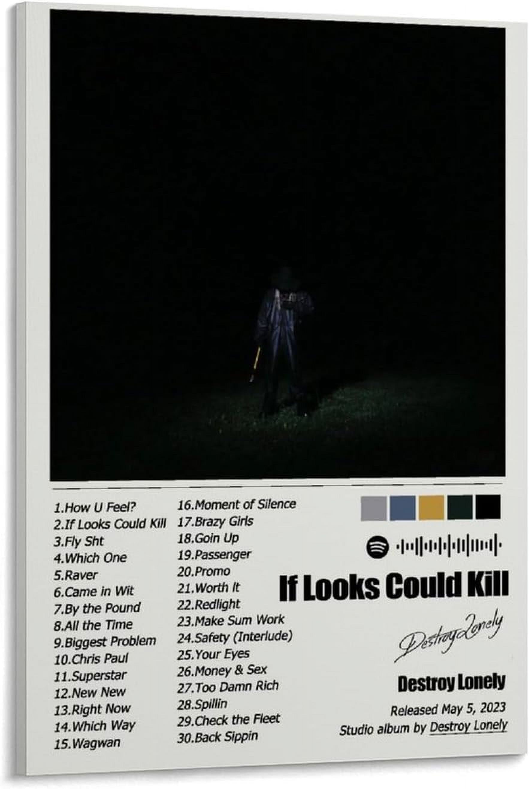 ASPORIC Destroy Lonely Poster If Looks Could Kill Album Cover Limited ...