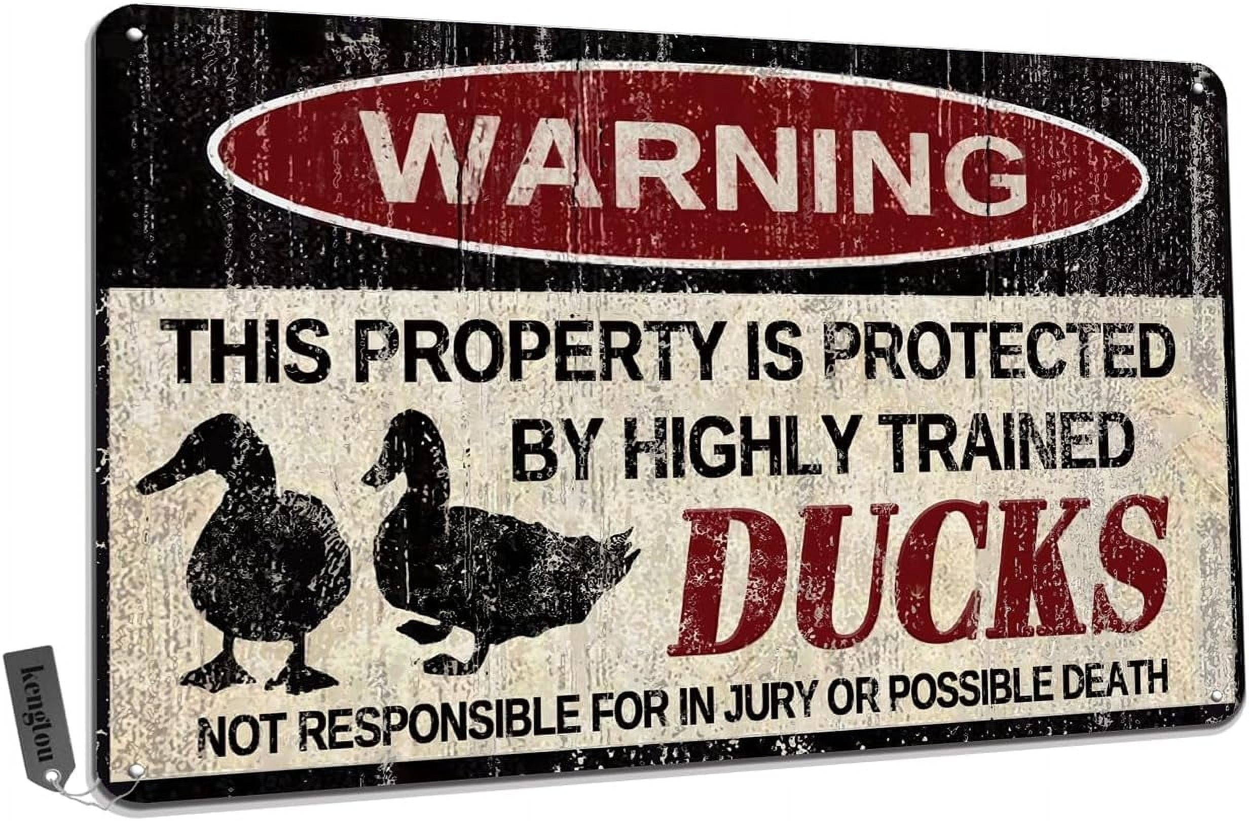 ASPORIC Ducks Tin Sign, Funny Metal Sign, Vintage Wall Decor 12x8 Inch ...