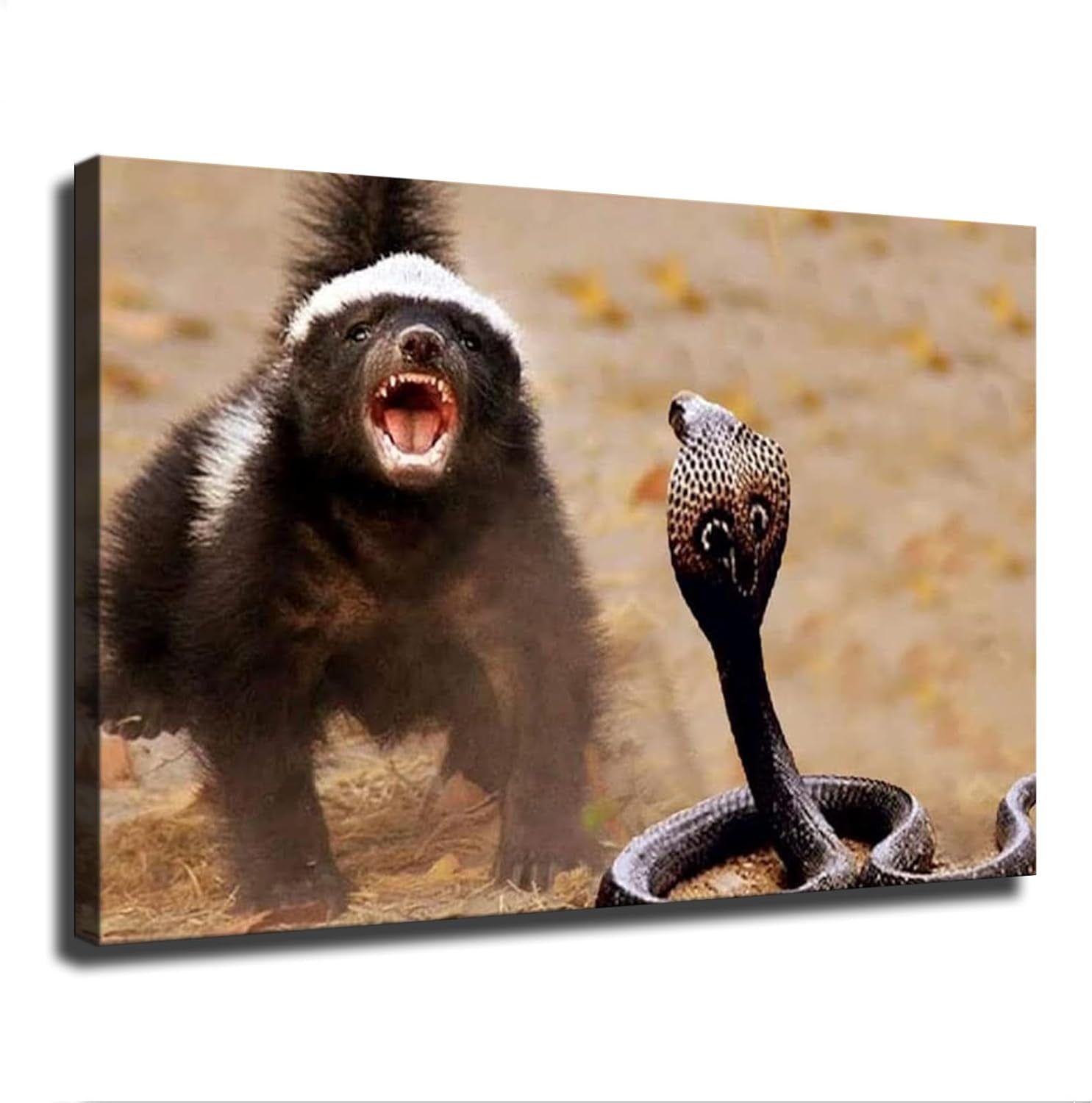 ASPORIC Ferocious Wild Animal Honey Badger Canvas Decorative Painting ...