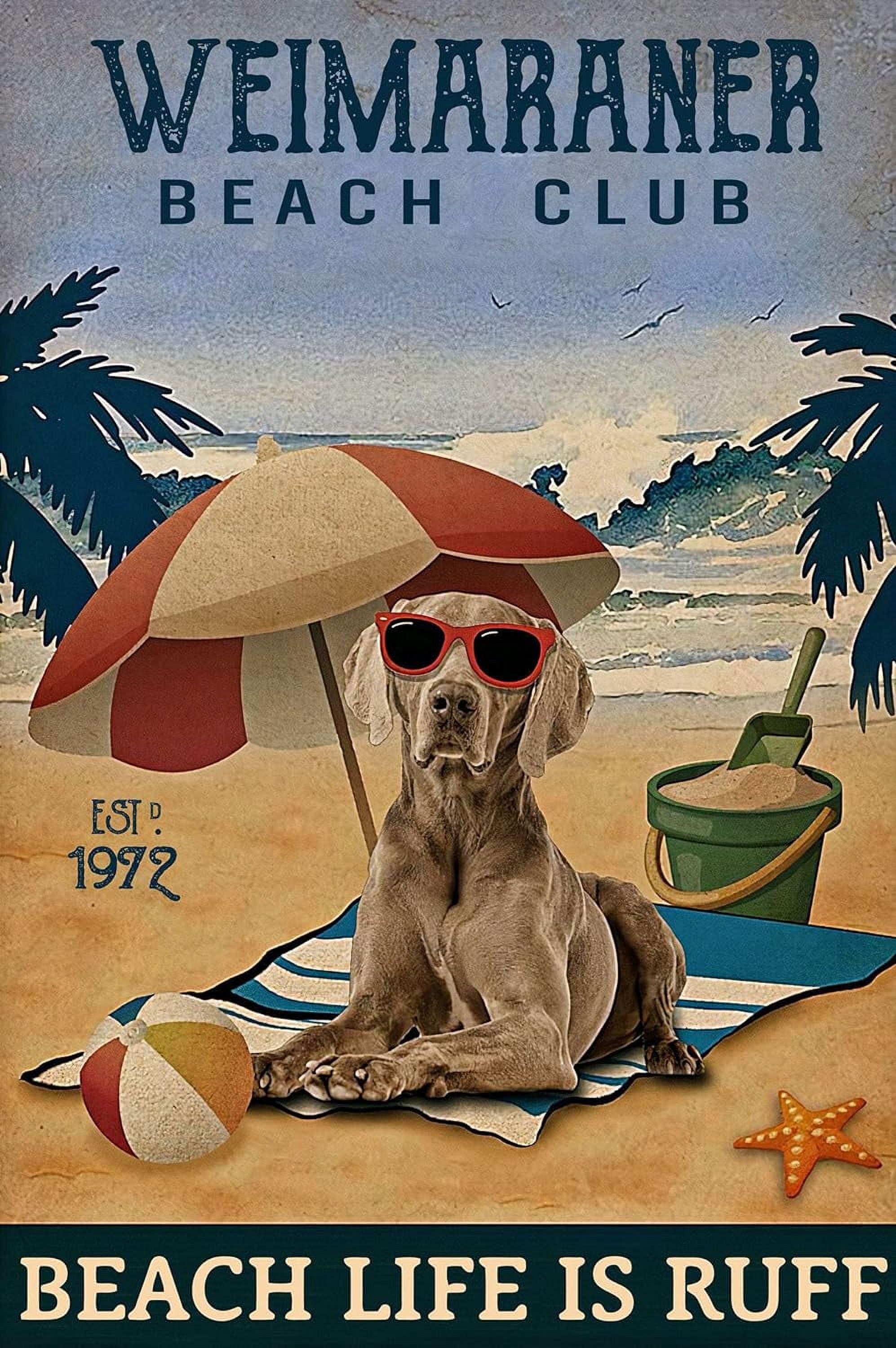 ASPORIC Funny Metal Tin Sign Weimaraner Beach Club Beach Life is Ruff ...