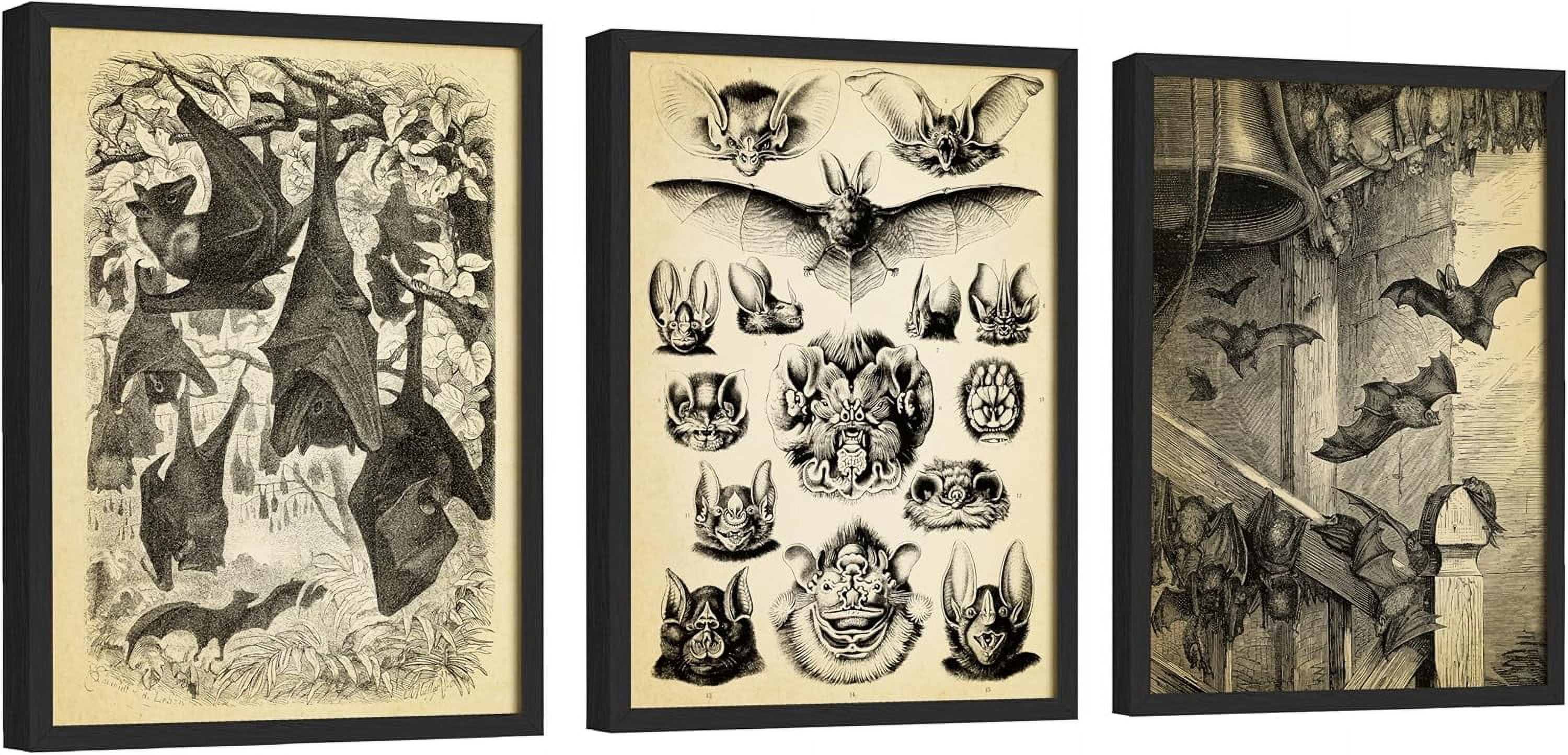 ASPORIC Gothic Bat Wall Art Decor - 12x16 Vintage Bat Poster Halloween ...