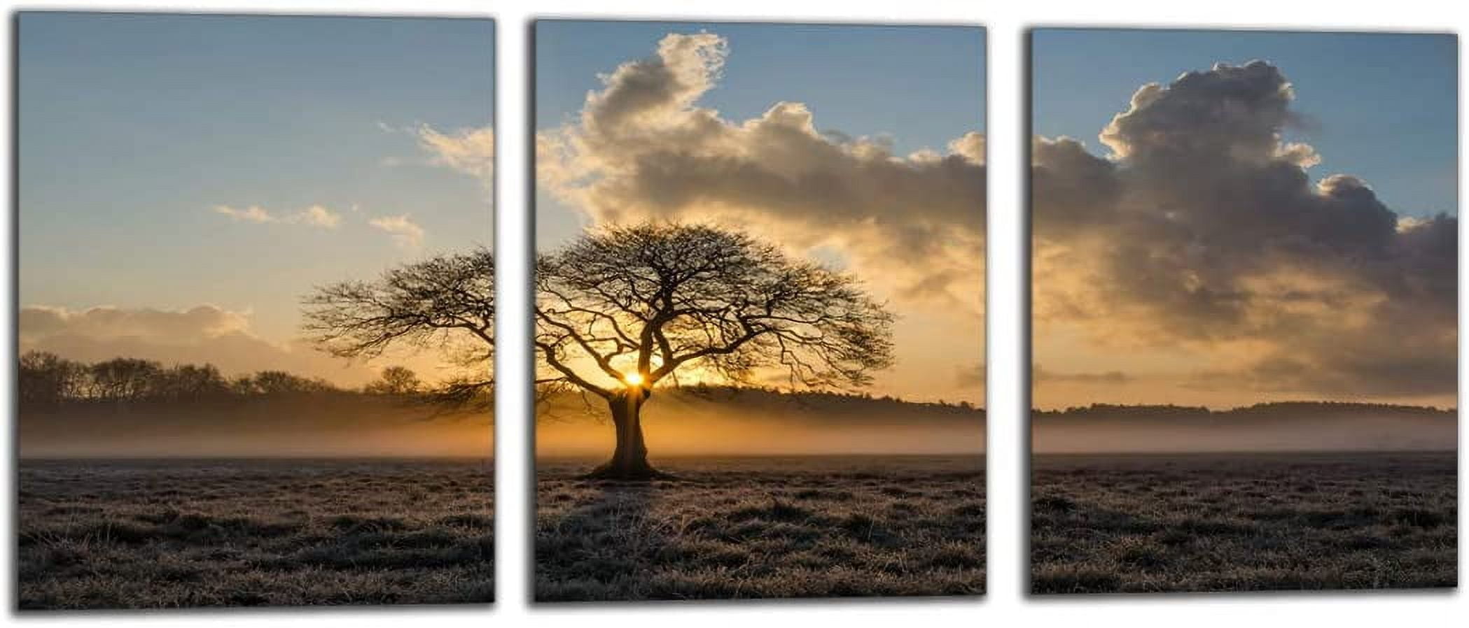 ASPORIC Inspirational Wall Art Tree of Life landscape Motivational ...