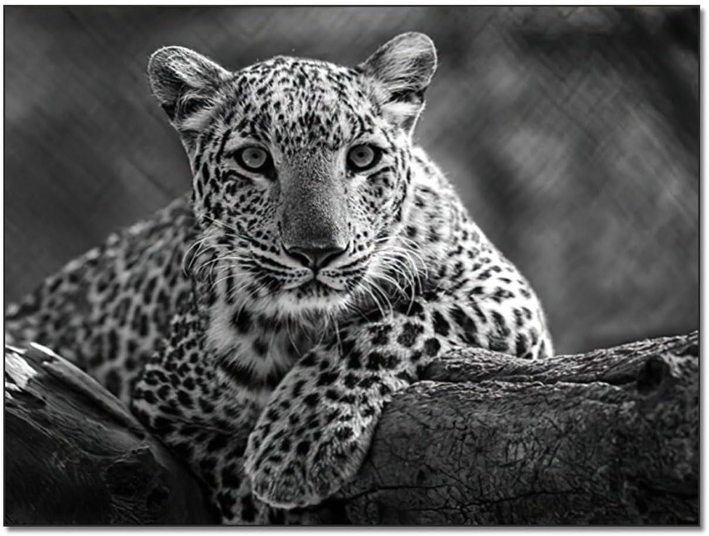 ASPORIC Leopard Print Modern Wall Art Poster Canvas Painting Black And ...