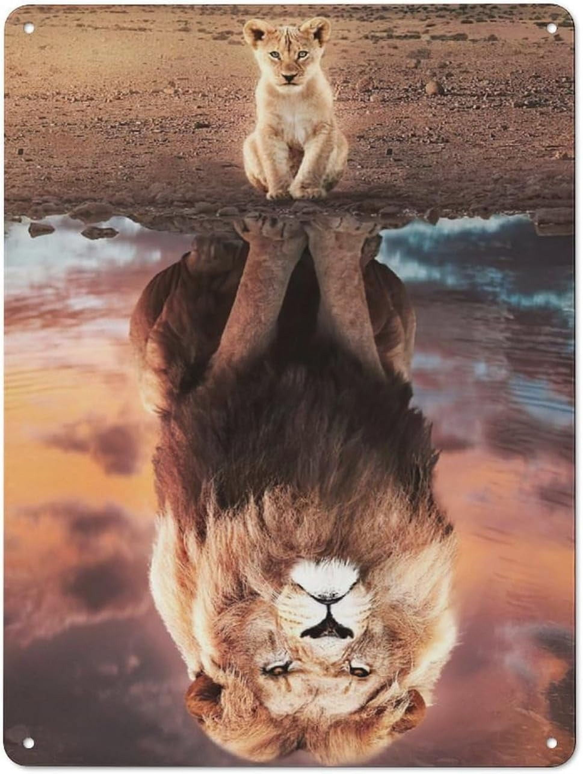 ASPORIC Lion Cub And Lion Reflection in Water, Animal Aesthetic Poster ...